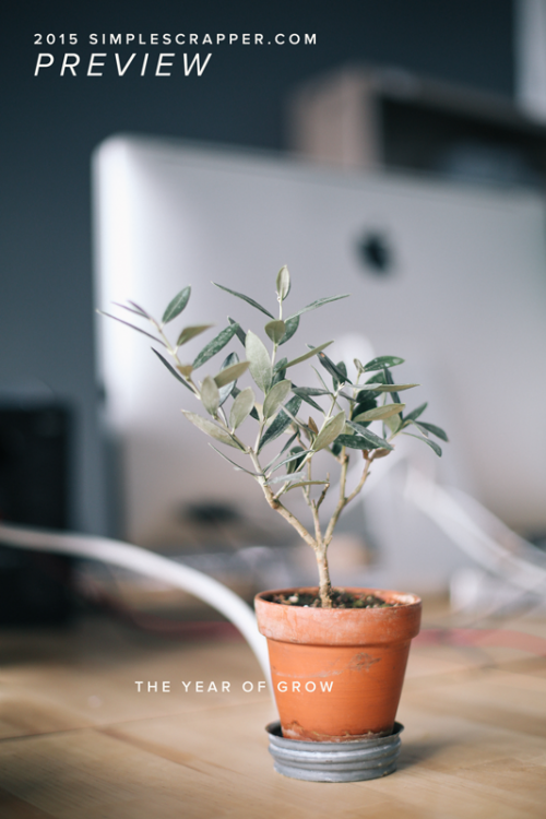 This Year at Simple Scrapper - Simple Scrapper